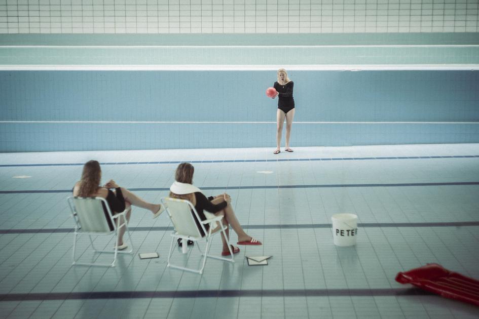 Delfiini muutti ihmisten taloon | eeva.fi